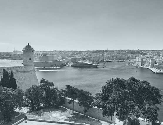 ᐉ Malta Citizenship by Direct Investment 2024: The Financial ...